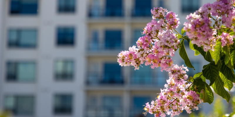 Spring HVAC Maintenance Tips to Keep Your Home Comfortable and ...